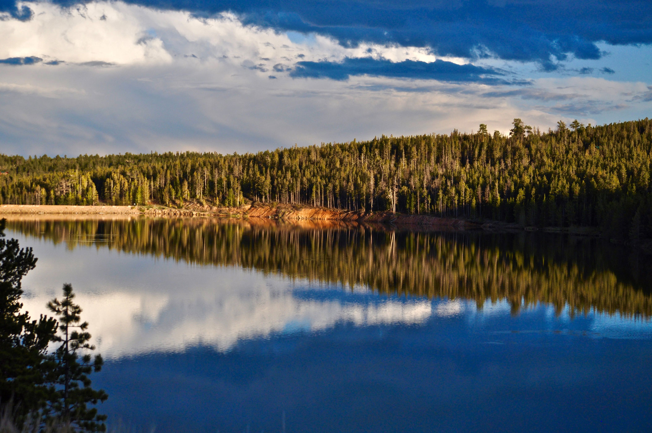 Earth's Astonishing Greening: A Testament to Planetary Resilience and ...